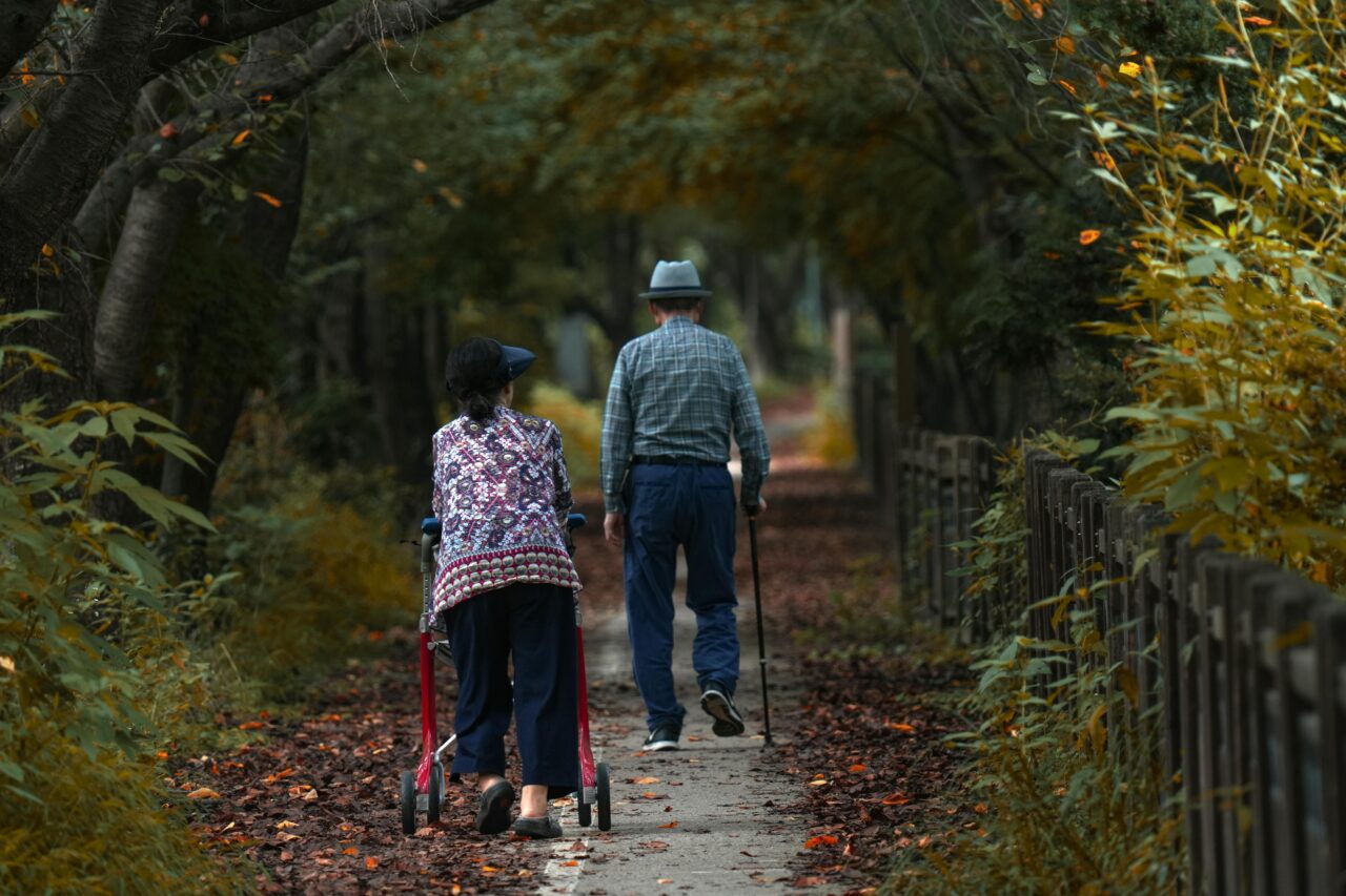 Top Causes of Falls in the Elderly and How to Prevent It - Restore ...